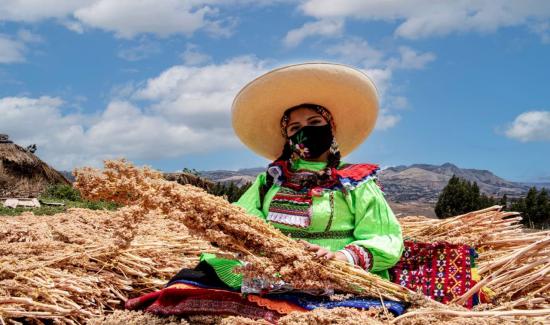 19 mil mujeres acceden a Planes de Negocio de Agroideas