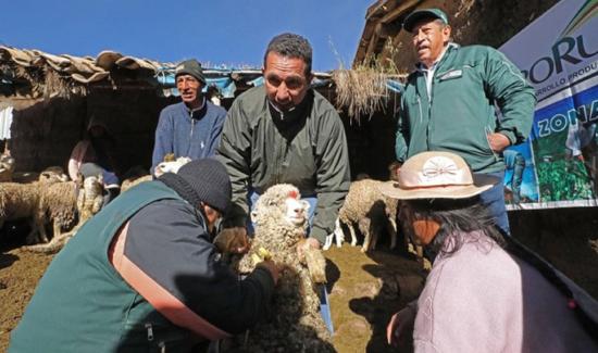 Agro Rural aplicará 1.000 kits veterinarios para ser utilizados en 100. ...