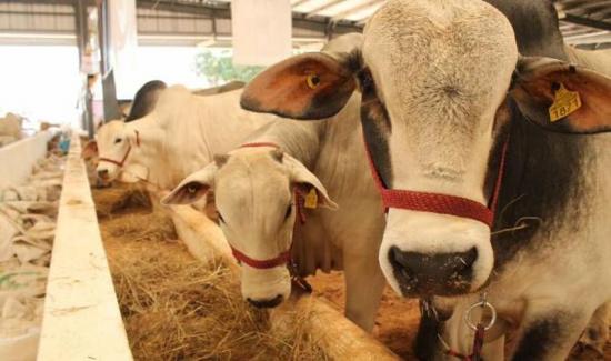 Agroideas capacita a productores para fortalecer su competitividad en ...