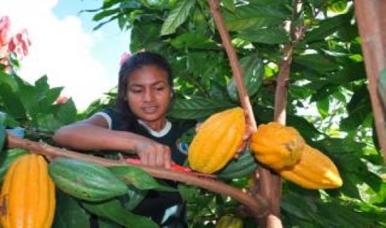 AGROIDEAS DESTINA S/. 6 MILLONES PARA PLANES DE NEGOCIOS