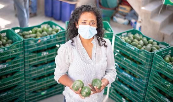 Agroideas ejecutó 296 proyectos de reconversión productiva del 2015 a ...