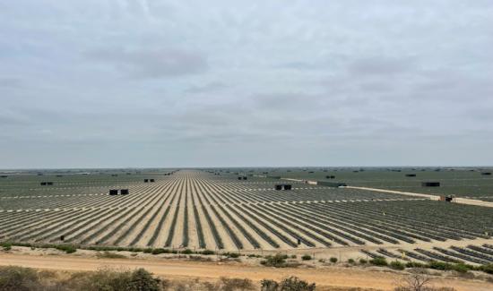 Agrovision logra avances positivos en nueva generación de productores ...