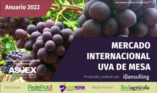 Chile se mantiene como el principal exportador de uva de mesa del ...