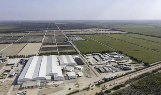 Con operaciones en Perú, México y Marruecos, Agrovision Corp. busca ...