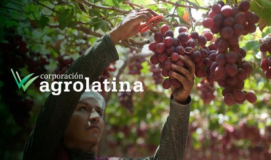 Corporación Agrolatina lideró ranking de empresas agroexportadoras en ...