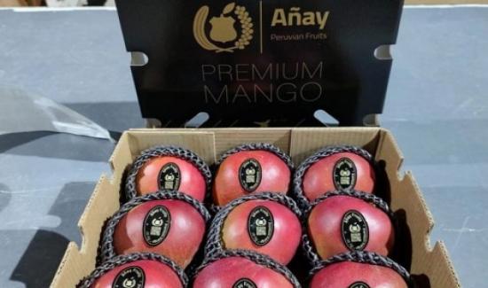"El mango peruano tiene un final de temporada complicado, con precios ...