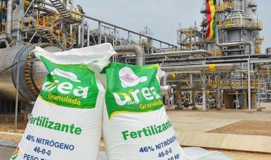 Empresa paraguaya Direcagro proveerá de urea más cara y llegaría la ...