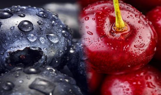 Exportaciones de fruta chilena aumentan 10% en volumen y 13% en valor ...