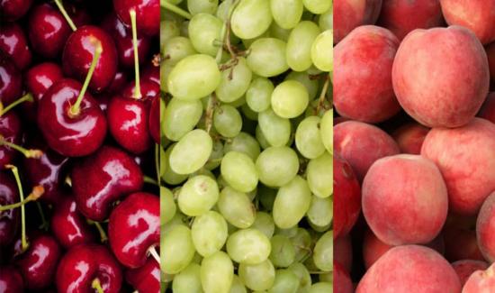 Exportaciones de fruta chilena caen en valor 14% durante primer ...