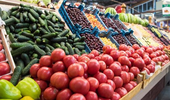 Exportaciones hortofrutícolas de España a todo el mundo alcanzó las 9.8 ...