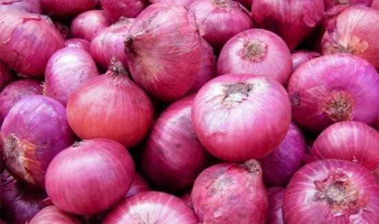 Exportaciones peruanas de cebolla crecieron 62% en volumen y 89% en ...