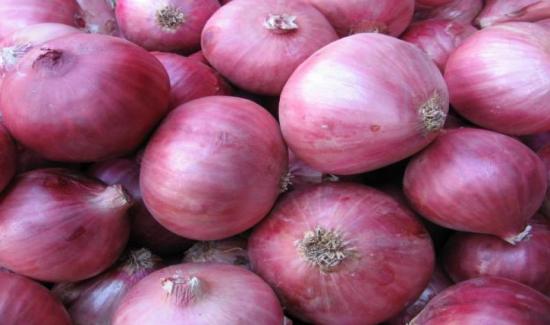 Exportaciones peruanas de cebolla fresca sumaron US$ 24.5 millones en ...