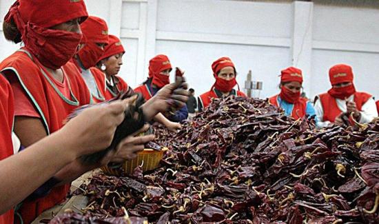 Exportaciones peruanas de páprika registran récord en valor