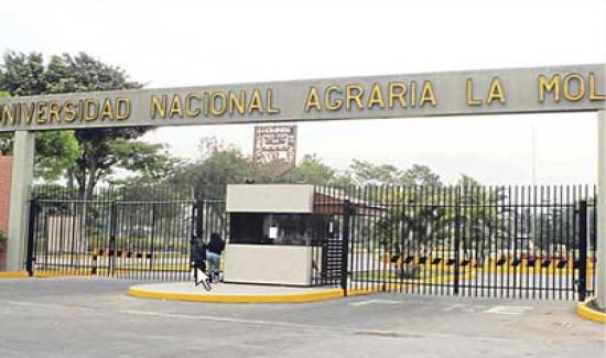 HOY COMIENZAN LAS CLASES EN LA UNALM