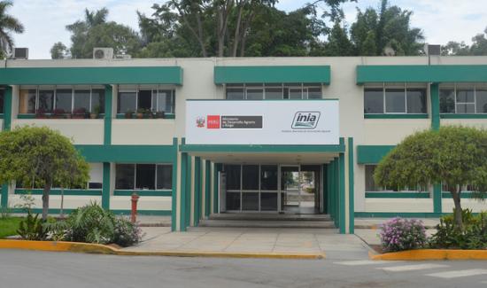 INIA generó 25 nuevas variedades de cultivos con alto valor genético en ...