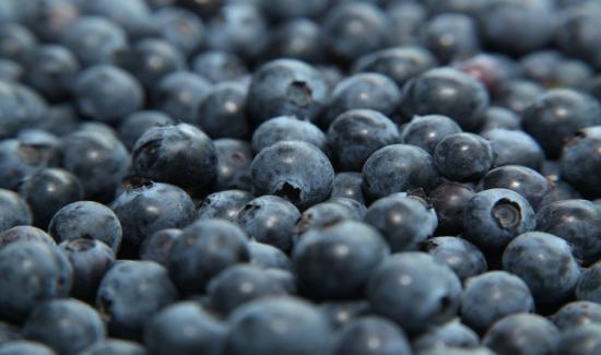Inka´s Berries: Mafias logran camuflar sustancias en containers de ...