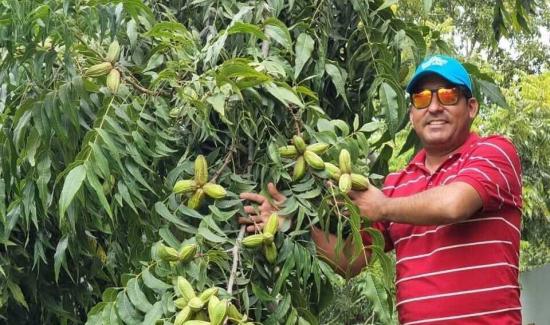 La moda del pecano en Perú