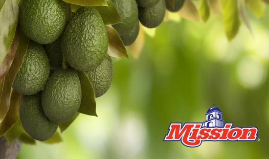 Mission Produce aumentó sus ingresos 29% en el primer trimestre de 2025