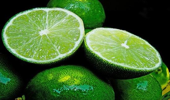 PERÚ PODRÍA CONVERTIRSE EN UN IMPORTANTE EXPORTADOR DE LIMÓN A EE.UU.