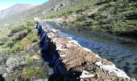 Recuperación de amunas beneficia a más de 350 familias peruanas en ...