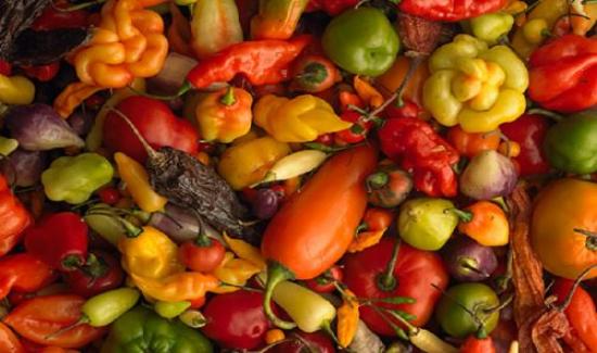 UNEP: En 2021 se desperdició más de 931 millones de toneladas de ...