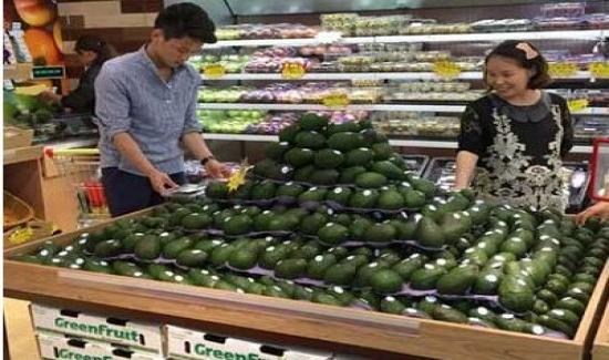 USDA: Perú es el principal proveedor de palta de China, con una ...