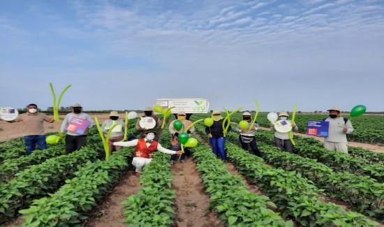 Virú S.A. es parte del Top 5 del ranking "Los Mejores Lugares para ...