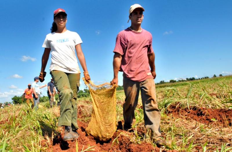 En el 82% de hogares rurales del Perú, la persona con mayor educación ...