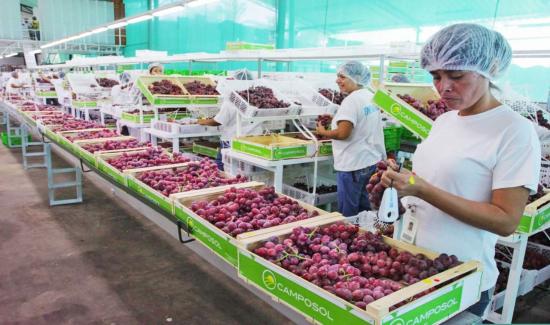 Agroexportaciones sumarían alrededor de US$ 15.000 millones al cierre ...