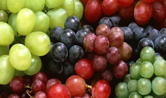 Asoex: exportaciones de uvas de mesa de Chile crecerían más de un 29.3% ...