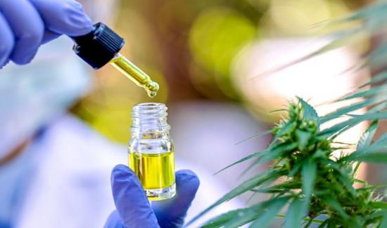 Cannabis Minsa Aprueba Reglamento Que Regula Su Uso Medicinal Y