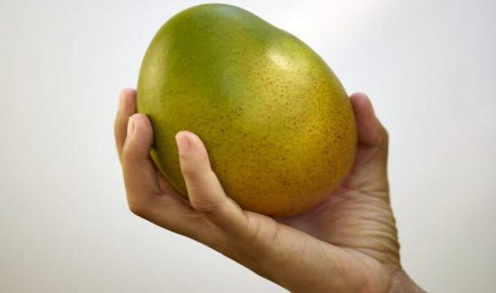 El mango de México trabaja para fortalecer y diversificar su ...