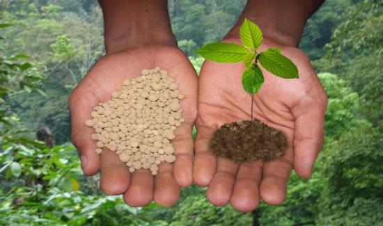 EMPRENDEN INICIATIVAS PARA LA CONSERVACIÓN DE LA AGROBIODIVERSIDAD