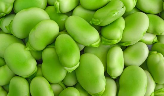 Exportaciones de haba alcanzaron las 990 toneladas por US$ 2.1 millones ...