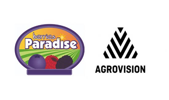 La mexicana Berries Paradise y Agrovision Perú, se unen para ...