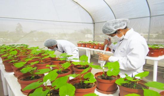 Universidad Nacional Agraria La Molina presentará proyectos que aportan ...