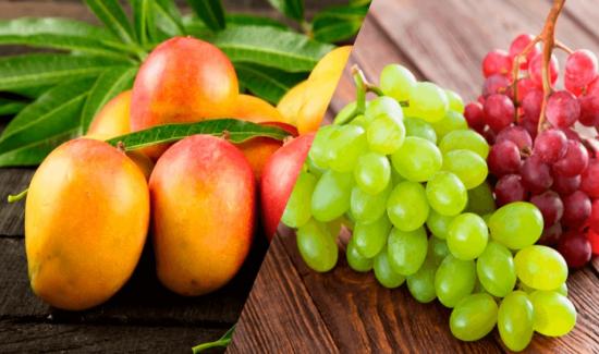 Uva, palta, café y mangos lideraron despachos agroindustriales de Perú ...