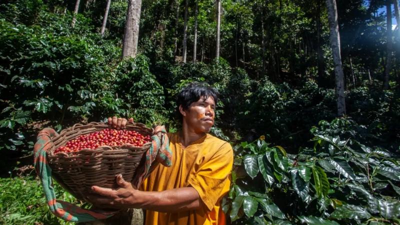 Amazonía peruana ha sido determinante para lograr récord de ...