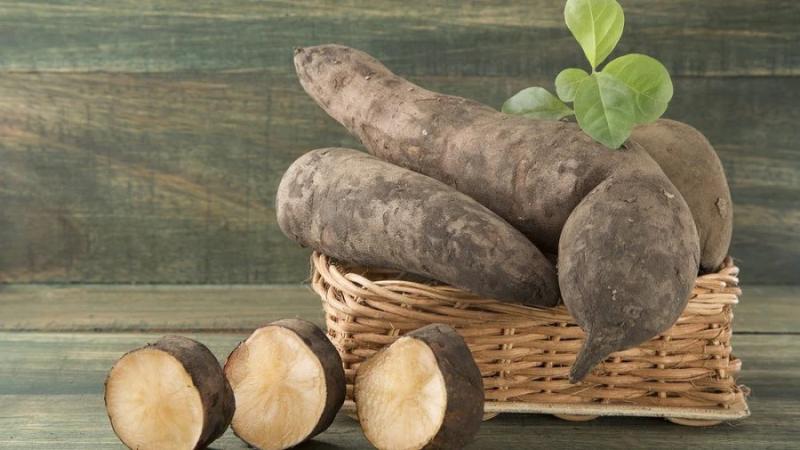 Despachos de yacón peruano crecieron un 32.2% en primer cuatrimestre ...