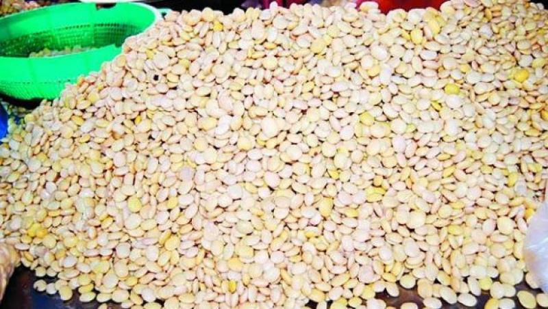La Libertad es el primer productor de tarwi en el Perú